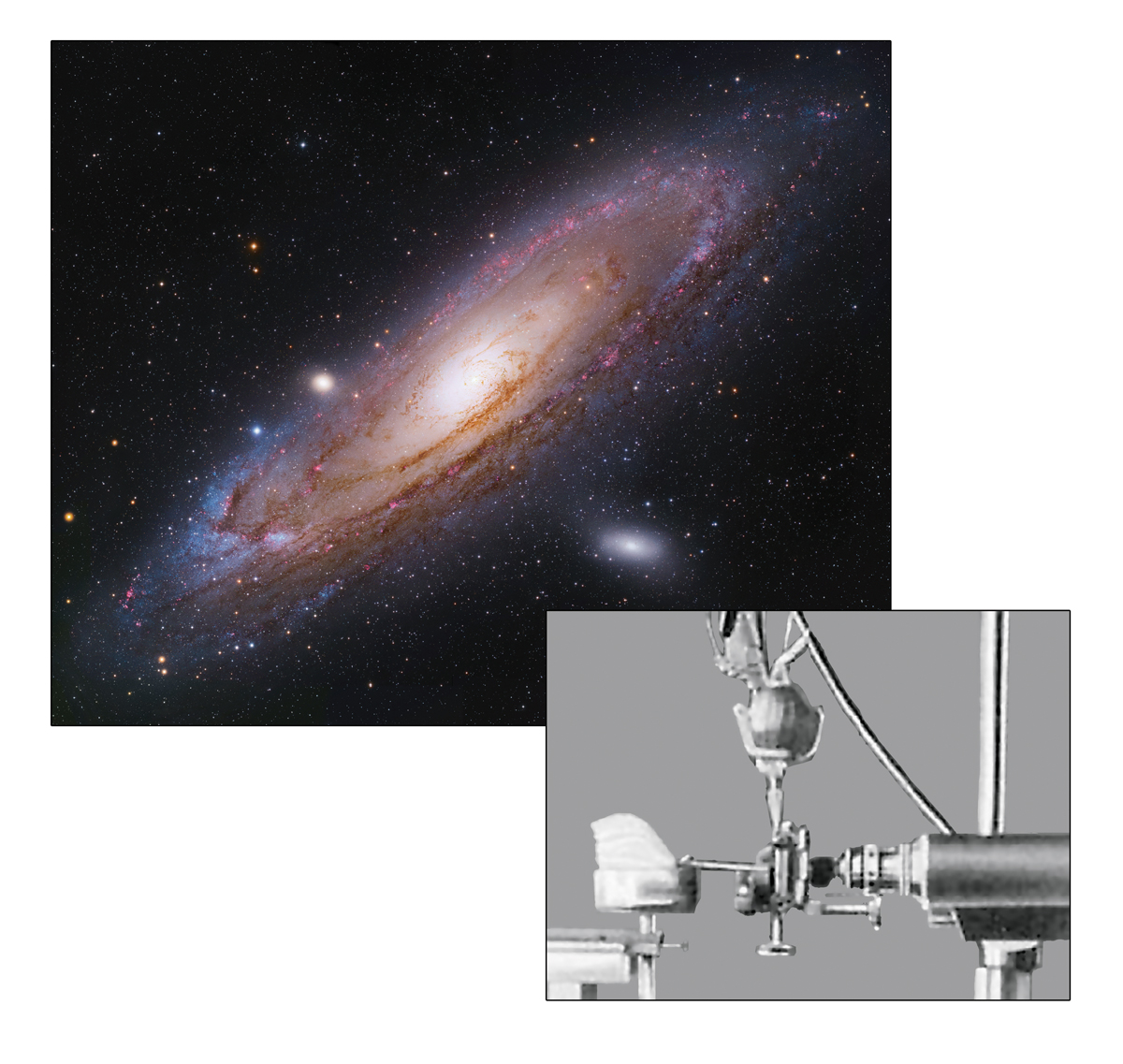 Die Wechselseitigkeit der Extreme: Die Astrophysik der Gurwitsch ...